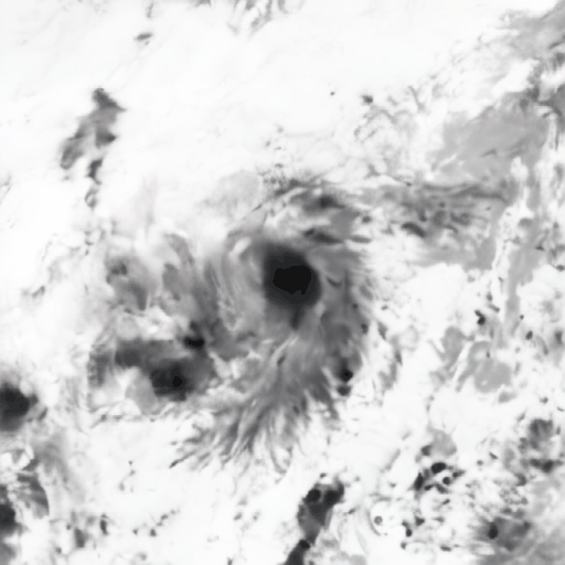 Latent Knowledge-Guided Video Diffusion for Scientific Phenomena ...