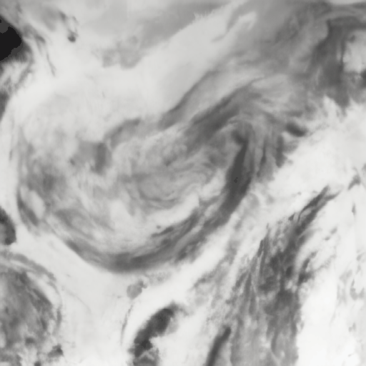 Latent Knowledge-Guided Video Diffusion for Scientific Phenomena ...