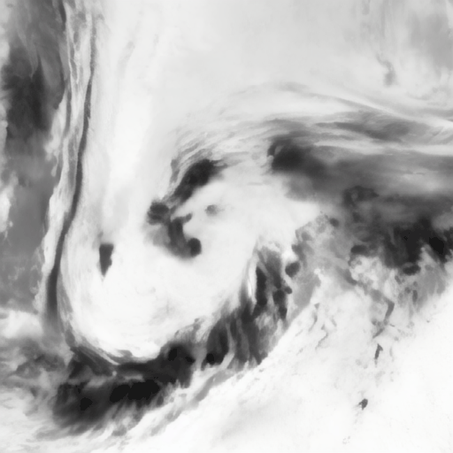Latent Knowledge-Guided Video Diffusion for Scientific Phenomena ...